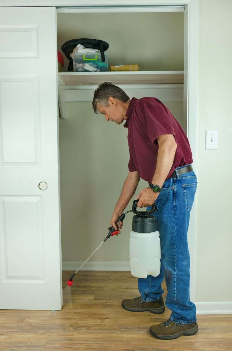 6 Pest Control Myths And How To Ensure You’re Getting Rid Of Pests The ...