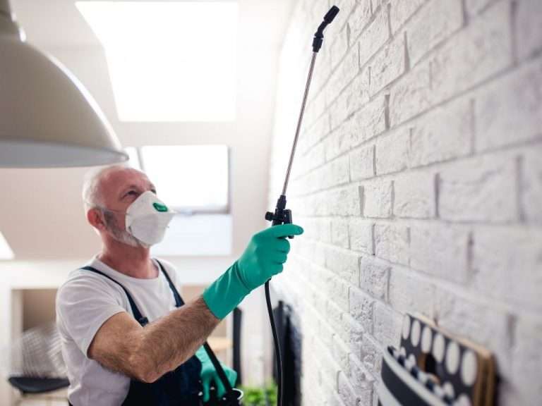 6 Benefits Of Using Cryonite Freezing For Pest Control - BioTech ...